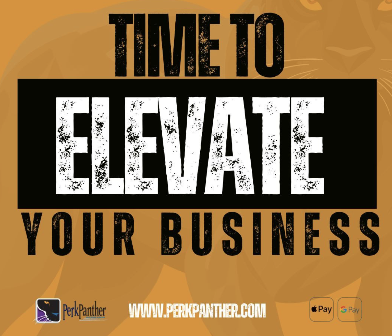 Get Started - Perk Panther Mobile Marketing
